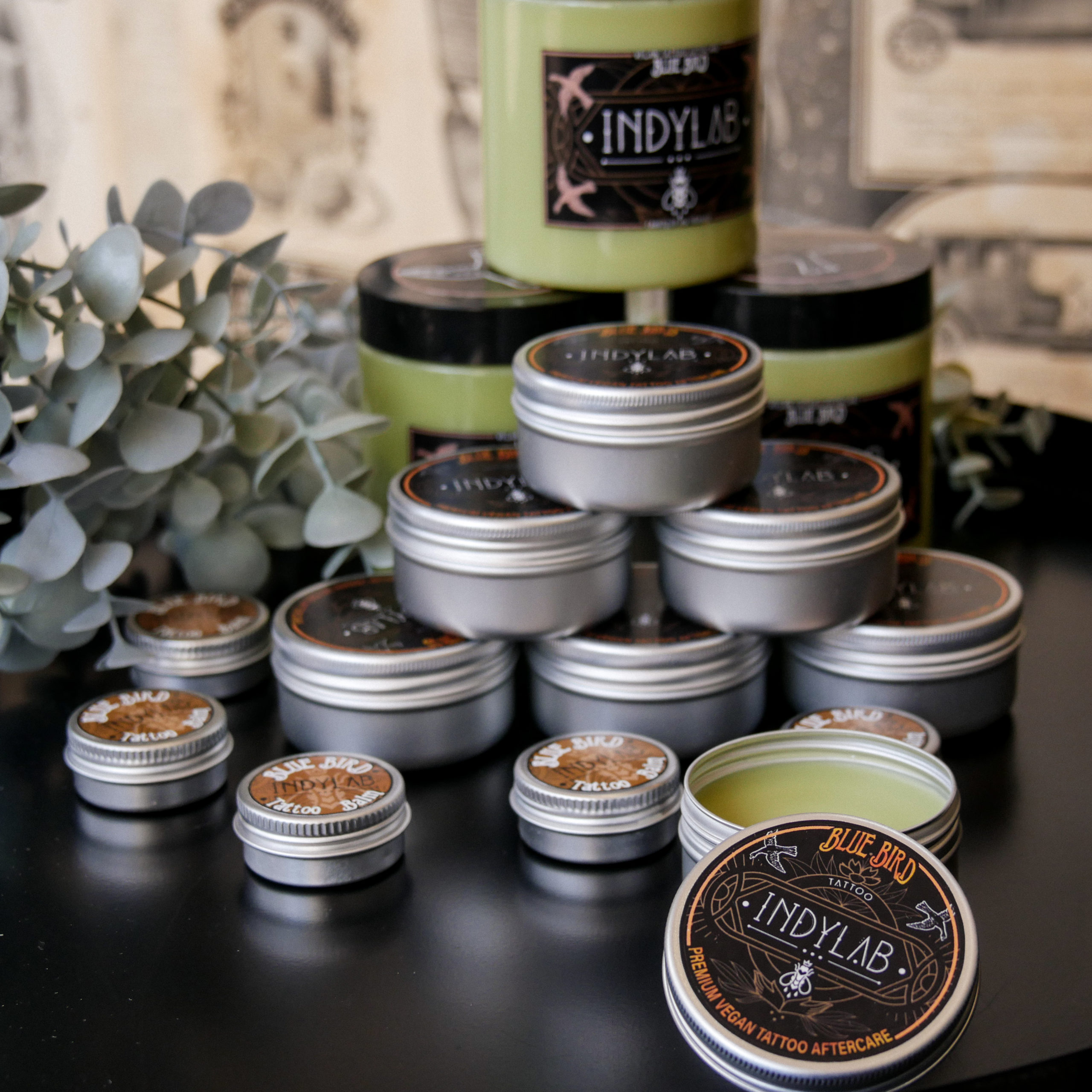 Blue Bird Balm X Indylab - Indylab